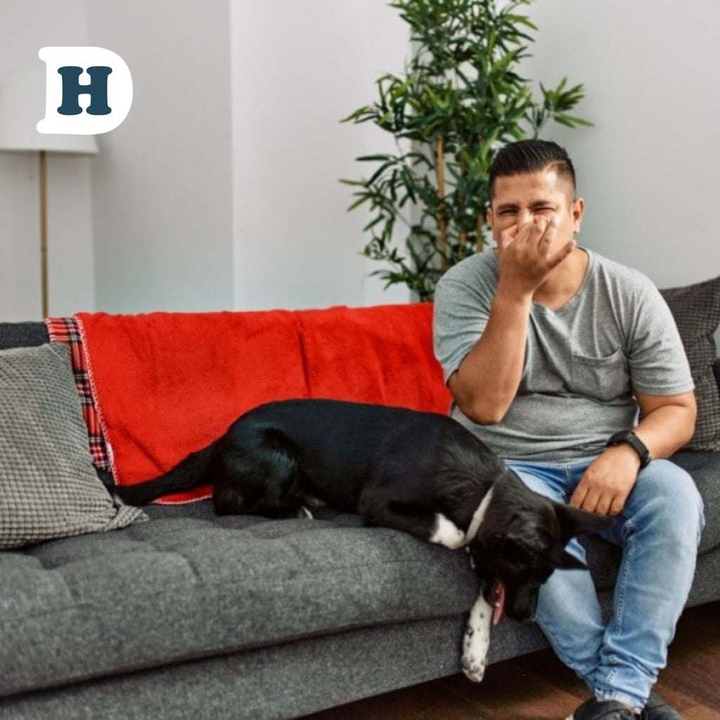 From Stinky to Serene: Effective Ways to Control Dog Flatulence